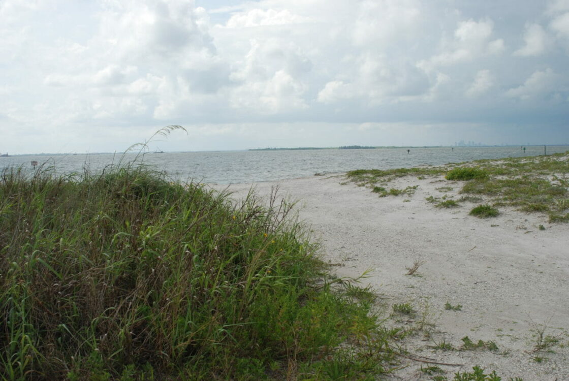 Apollo Beach